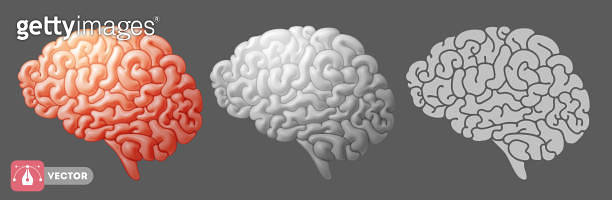 Brain 3d Icon Set 이미지 (1460521908) - 게티이미지뱅크