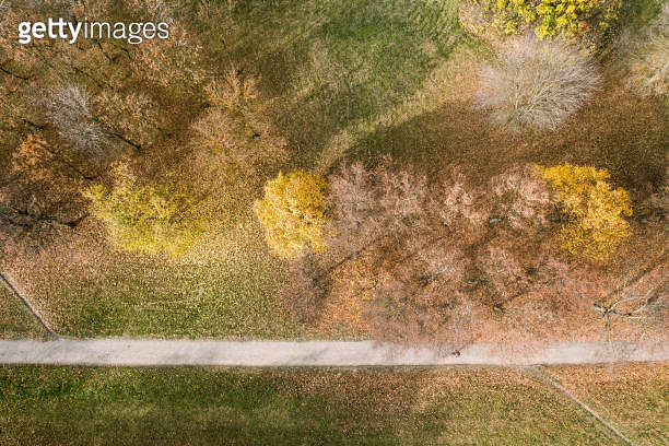 overhead aerial top view of straight footpath in colorful autumn park ...