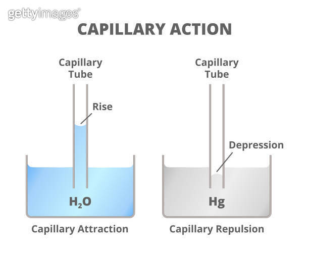 Scientific illustration of capillarity action or capillarity. Vessel ...