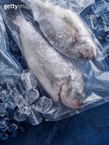 Frozen gilthead bream fish inside a plastic packaging. Bream fish in ...