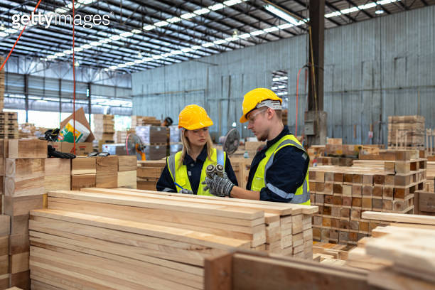 Workers Inspecting Wood Quality in a Lumber Warehouse 이미지 (1751173489 ...