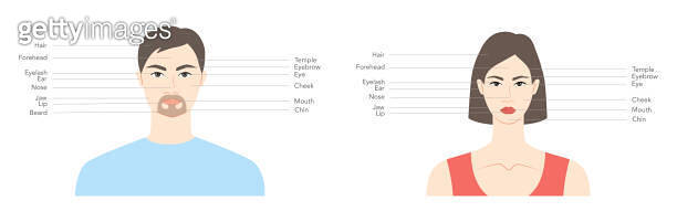 Diagram of woman and man head with names, parts of the face text ...