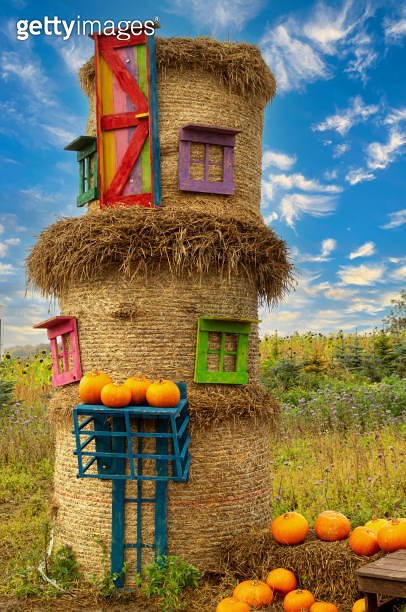 Autumn haystacks and orange pumpkins. Traditional harvest festival and ...