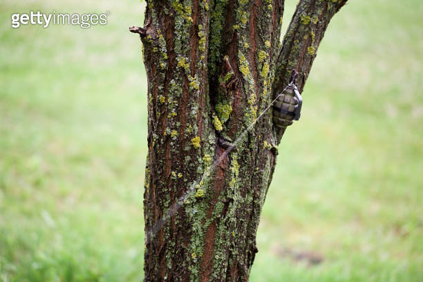 Landmine - Booby Trap IED made from hand grenade with tripwire ...