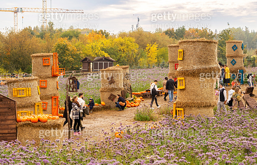 Autumn haystacks and orange pumpkins. Traditional harvest festival and ...