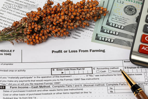 Grain sorghum plant inflorescence and farm tax form. Farming income ...