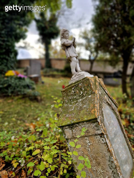 A grave overgrown with a bush with white berries. the statuette on the ...