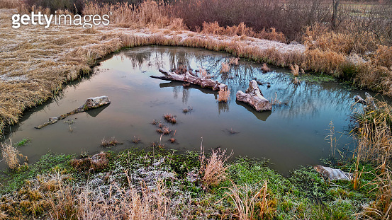 winding stream with ponds. people restored zigzags to cancel land ...