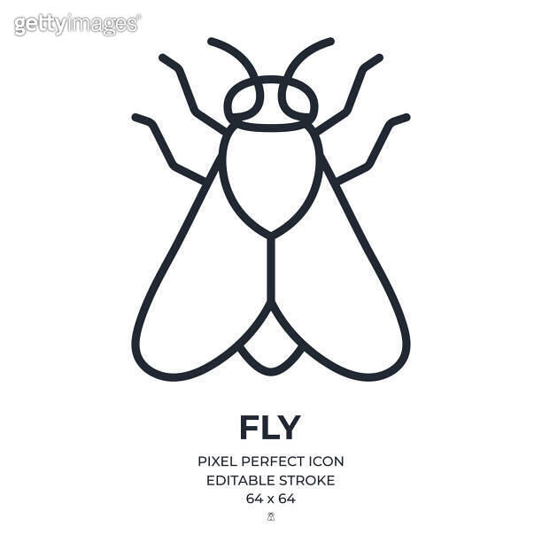 Fly insect editable stroke outline icon isolated on white background ...