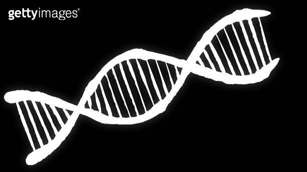 White DNA Strands on spiral. Double helix human DNA structure. gene ...