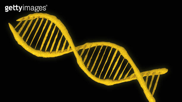 Yellow helix human DNA structure. DNA Strand, DNA molecules, Vector ...