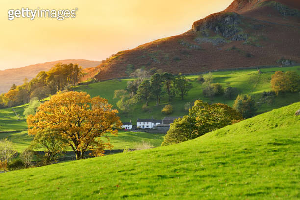 Endless lush pastures and farmlands of England. Beautiful English ...