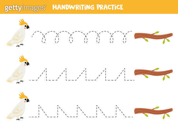 Tracing lines for kids. Cute cockatoo and tree branch. Handwriting ...