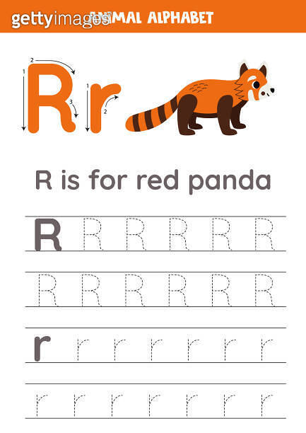 Tracing alphabet letters for kids. Animal alphabet. R is for red panda ...