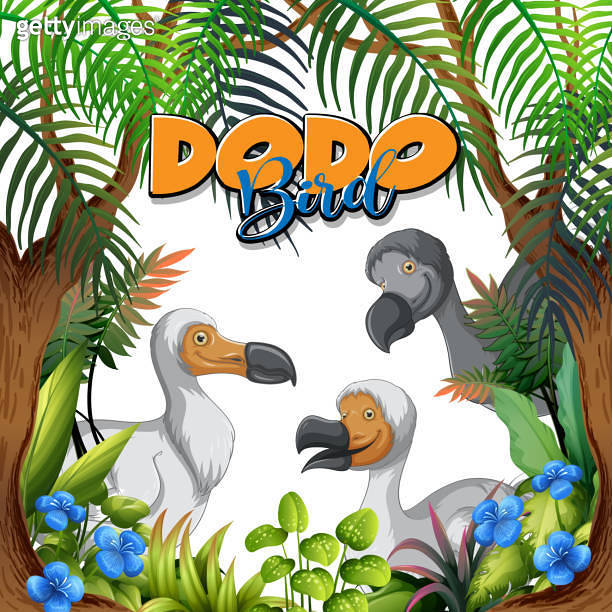 Dodo bird extinction animal cartoon character (1455874161) - 게티이미지뱅크