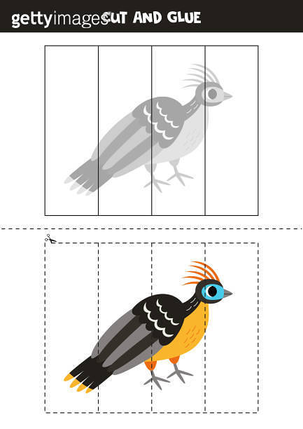 Cut and glue game for kids. Cute cartoon hoatzin bird. 이미지 (1805186549 ...