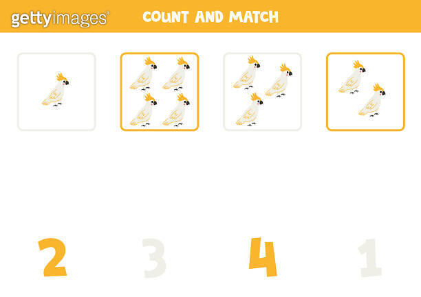 Count all cockatiel birds and match with the correct number ...