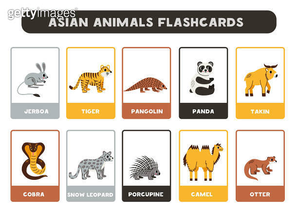 Cute Asian animals with names. Flashcards for learning English ...