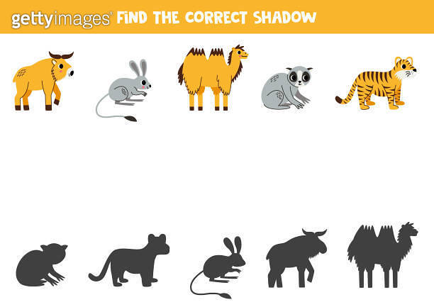 Find shadows of cute Asian animals. Educational logical game for kids ...