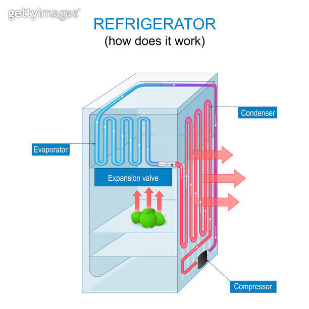 Refrigerator working principle. How does a fridge work (1477578352 ...