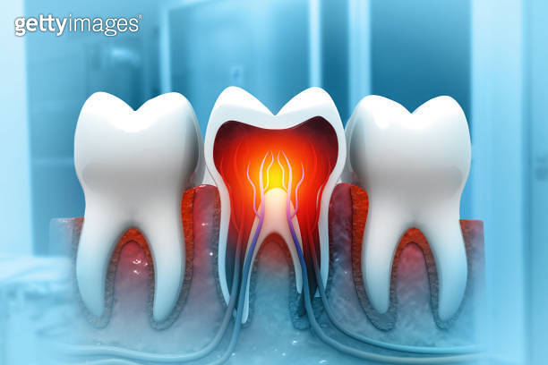 Human tooth structure. cross section. pulp with blood vessels and ...
