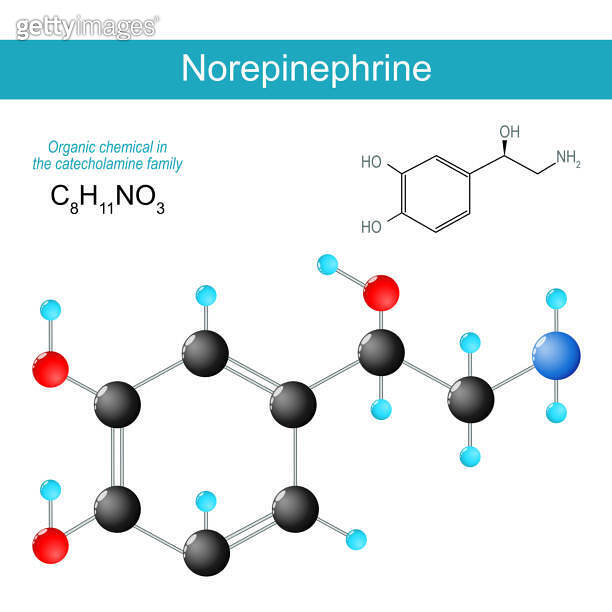 Norepinephrine molecule 이미지 (1574507109) - 게티이미지뱅크