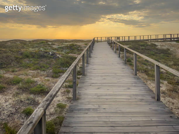 A wood pedestrian walkways, build over a sand dune that is used to give ...