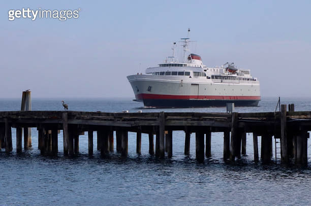 Ferry Boat Greeted By Shore Birds 이미지 (1713791448) - 게티이미지뱅크