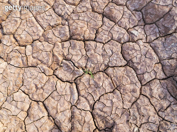 Cracked mud bottom at Lake Mead area. Shot in March 2023 (1474384431 ...