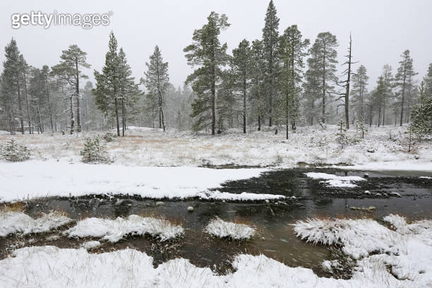 First snowfall in October 이미지 (1739185948) - 게티이미지뱅크