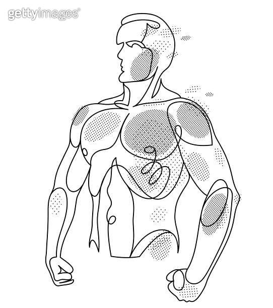 Athletic man torso vector linear illustration, male beauty with perfect ...
