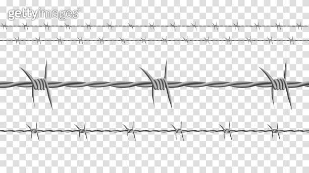 Barbed wire seamless on a transparent background. Wire with clusters of ...