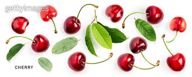 Red cherry fruits and leaves set isolated on white 이미지 (1459351253 ...