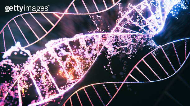 DNA strands on dark bg 이미지 (1468251191) - 게티이미지뱅크