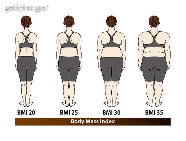 Body shape change by body mass index. Female back view. BMI (Body Mass ...
