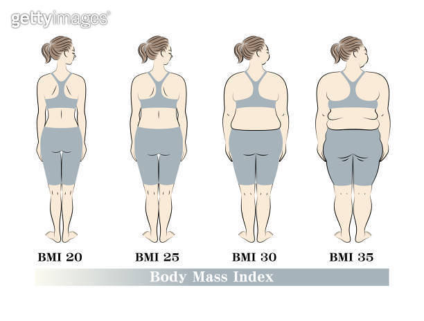 Body shape change by body mass index. Female back view. BMI (Body Mass ...