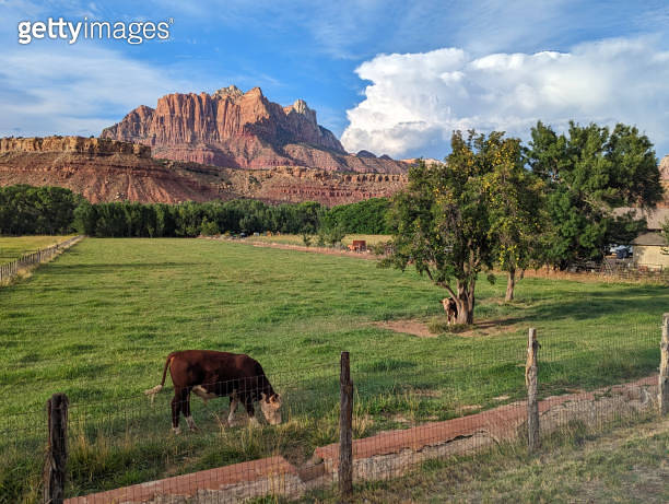 Monsoon thunderstorm building over the Virgin River Valley along ...