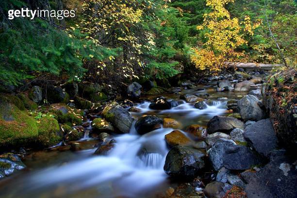 Autumn in the Cascades 이미지 (1735642672) - 게티이미지뱅크