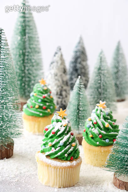 Close-up image of conifer forest Christmas scene, Christmas tree design ...