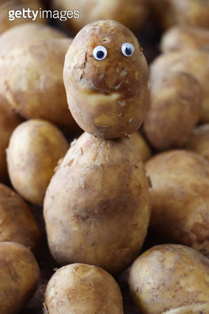 Close-up image of funny, cartoon character made from small potato head ...