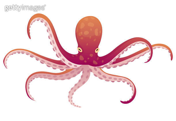 Octopus cartoon flat character with suckers on hands. Aquatic fauna ...