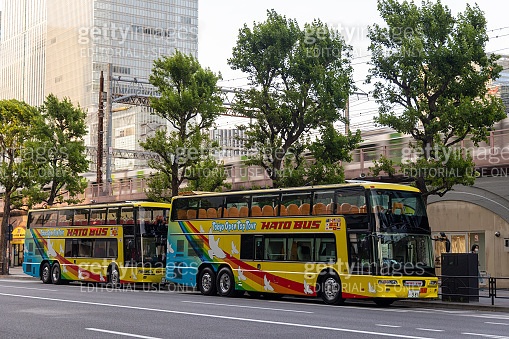 Hato Bus, Tokyo's sightseeing buses in Japan 이미지 (1498220549) - 게티이미지뱅크