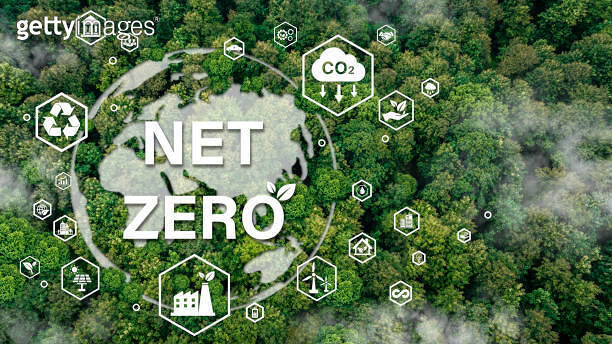 Net zero icons on the top view of the forest for Carbon neutral and net ...