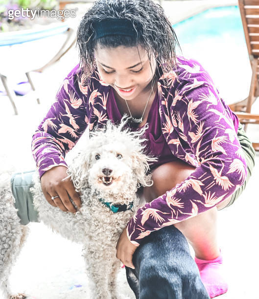 African American teenage girl pets a small cute dog outdoors 이미지 ...
