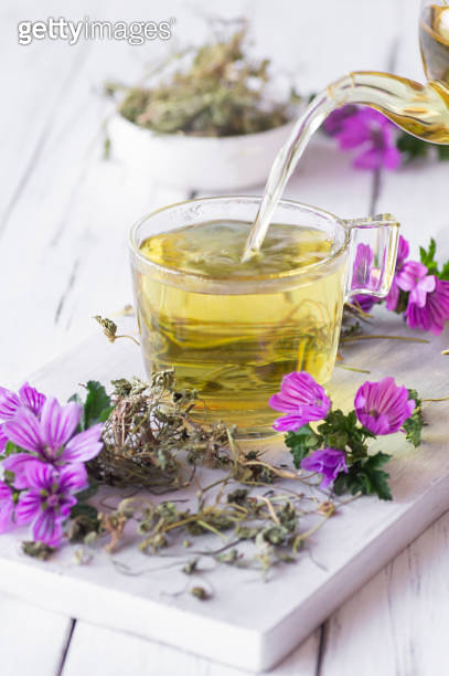 Cup of common mallow tea with fresh blooming malva sylvestris plant on ...
