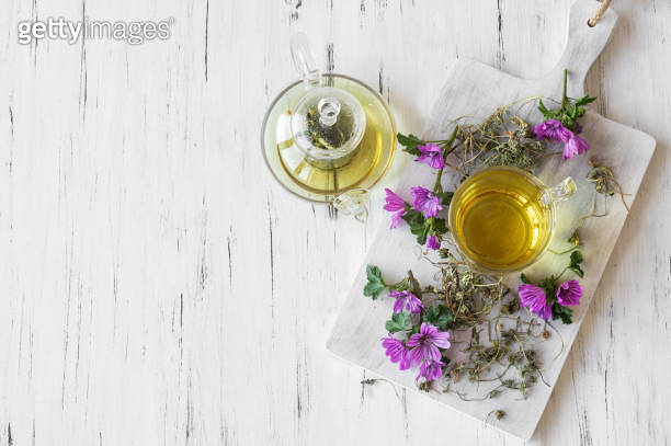 Cup of common mallow tea with fresh blooming malva sylvestris plant on ...