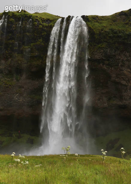 Seljalandsfoss Falls in the southern region of Iceland (1495964523 ...