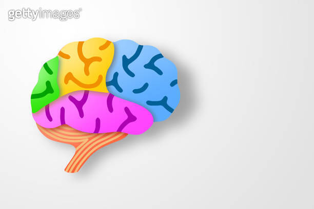 Paper craft of the human brain. 이미지 (1810507489) - 게티이미지뱅크