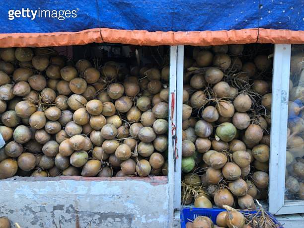 House Filled with Coconuts in Ho Chi Minh City (1478394721) - 게티이미지뱅크