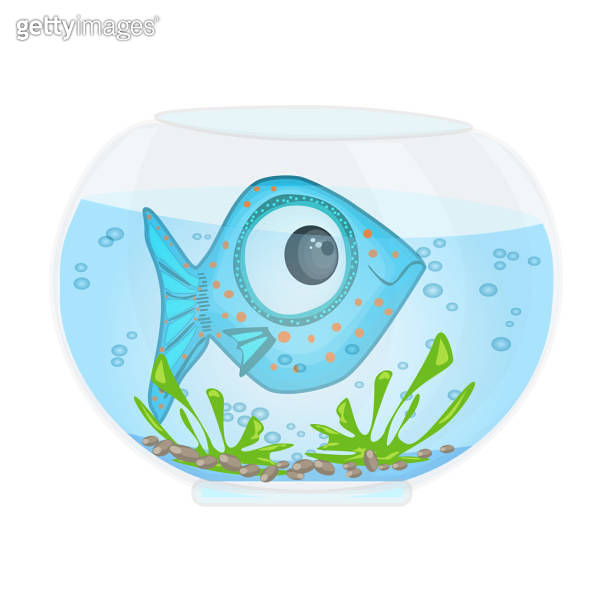 Cartoon fishbowl with funny blue fish, water, seaweed, algae, stones ...